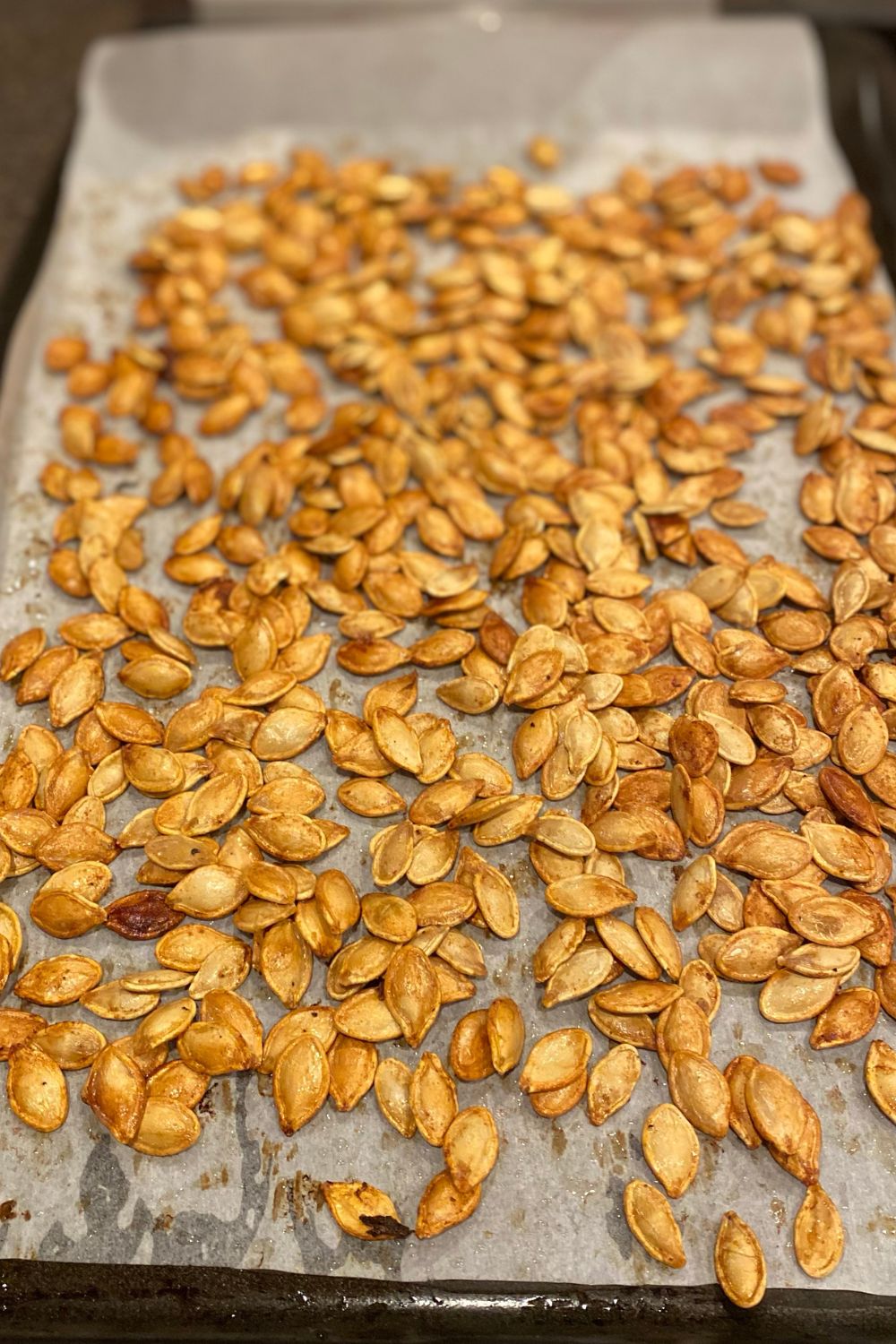 Roasted Pumpkin Seeds